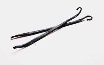 Hur man väljer rätt vanilj? Vanilj för din bakning - Allt om Bakning